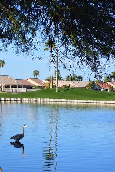 Sun Lakes Arizona Communities | The Kolb Team - Sun Lakes AZ Best Realtors